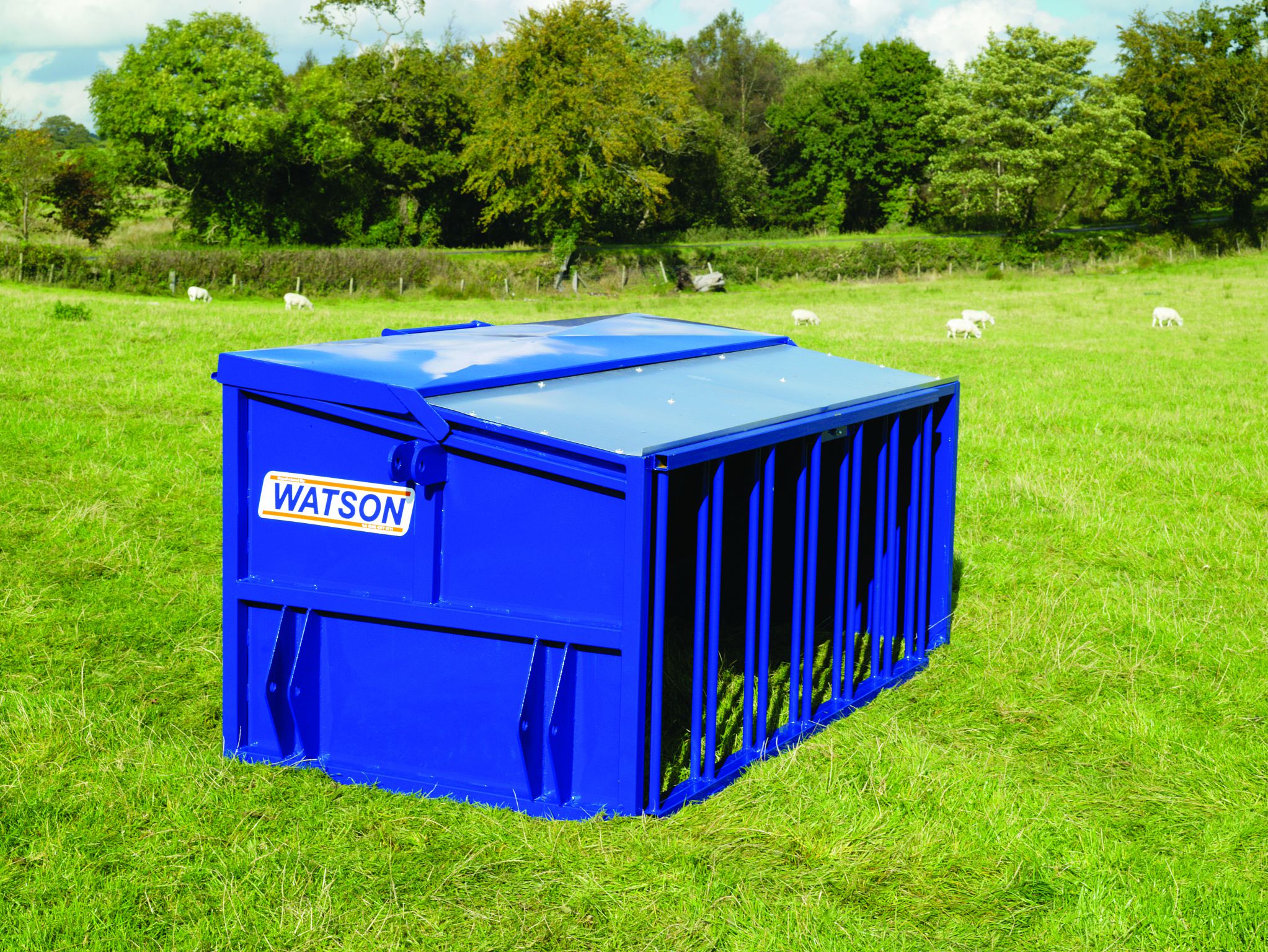 Double Sided Bull Beef Feeder : Walter Watson Agri